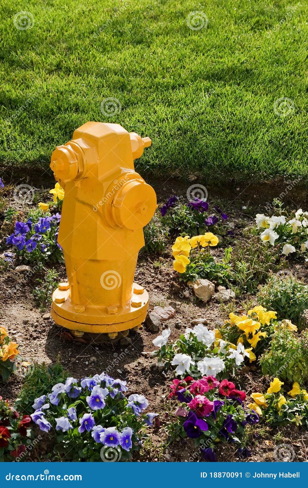 Fire Hydrant with Flowers stock image. Image of yard - 18870091