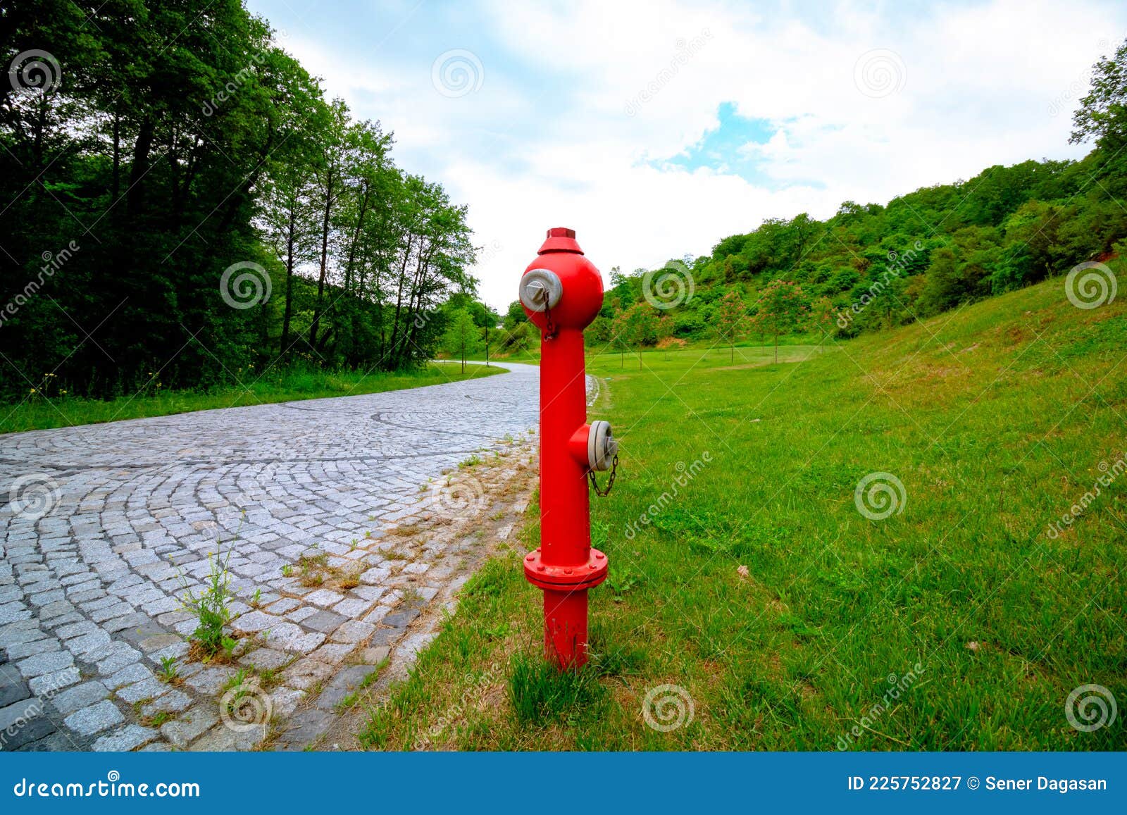 Fire Hydrant in the Forest. Protection of the Forest by Fires Stock ...
