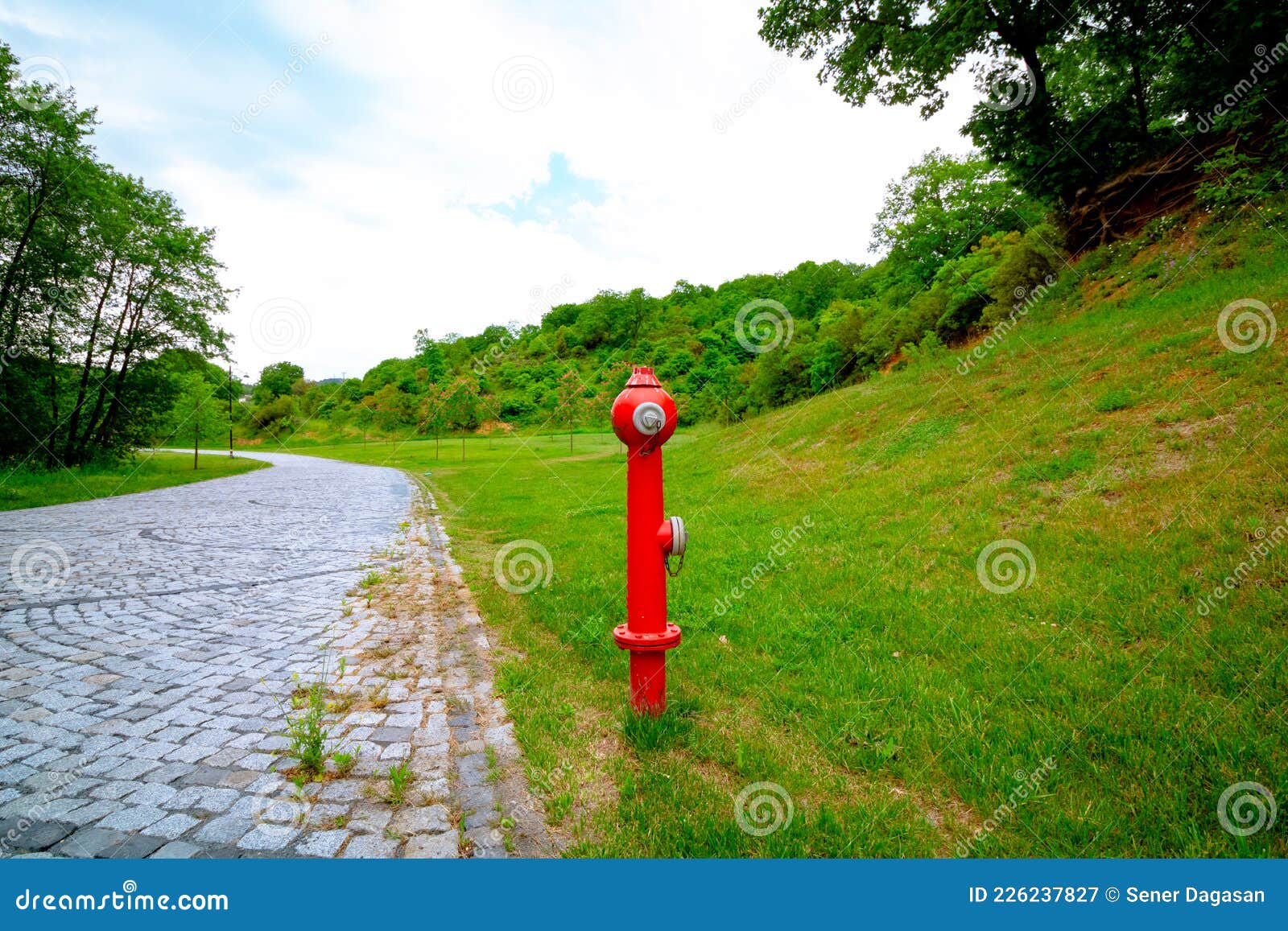 Fire Hydrant in the Forest. Protection of the Forest by Fires Stock ...
