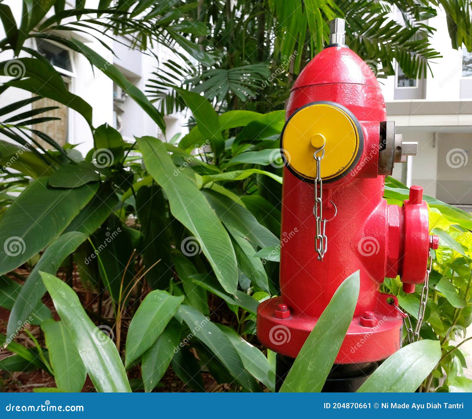 Fire hydrant in a garden stock image. Image of garden - 204870661