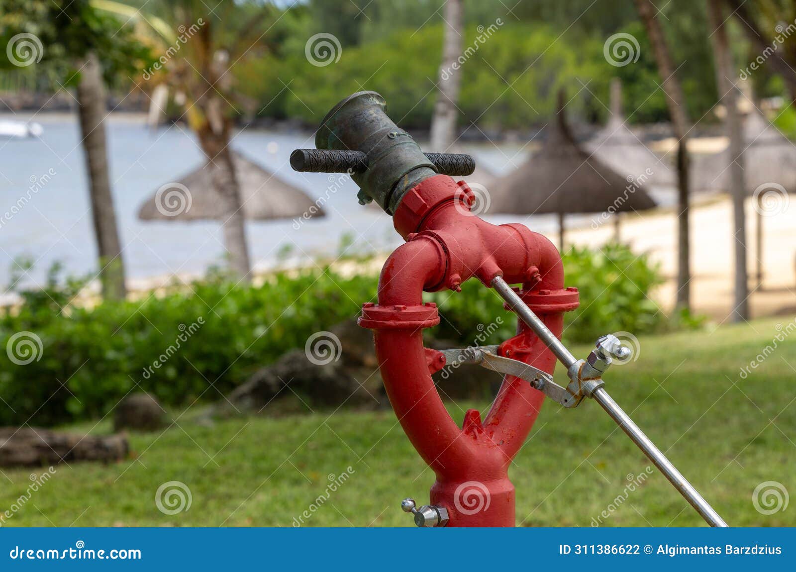 Fire hydrant in the garden stock photo. Image of hydrant - 311386622