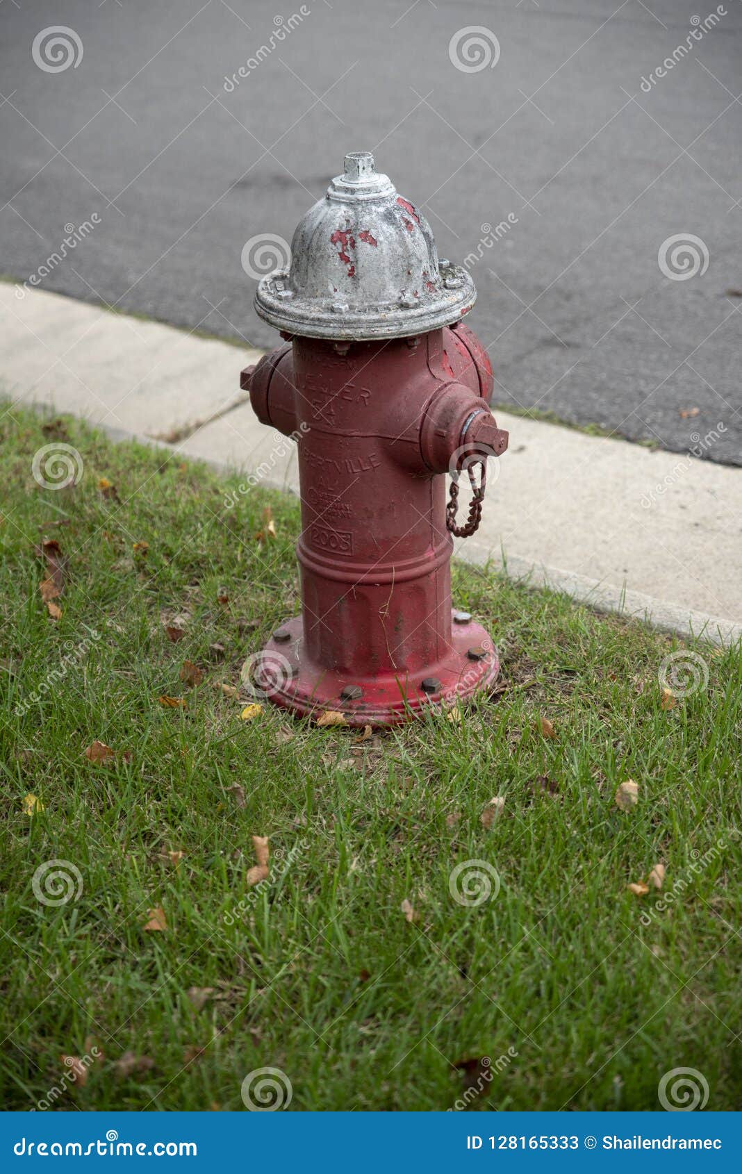 Fire Hydrant in Grass at Road Side Stock Image - Image of houses, grass ...
