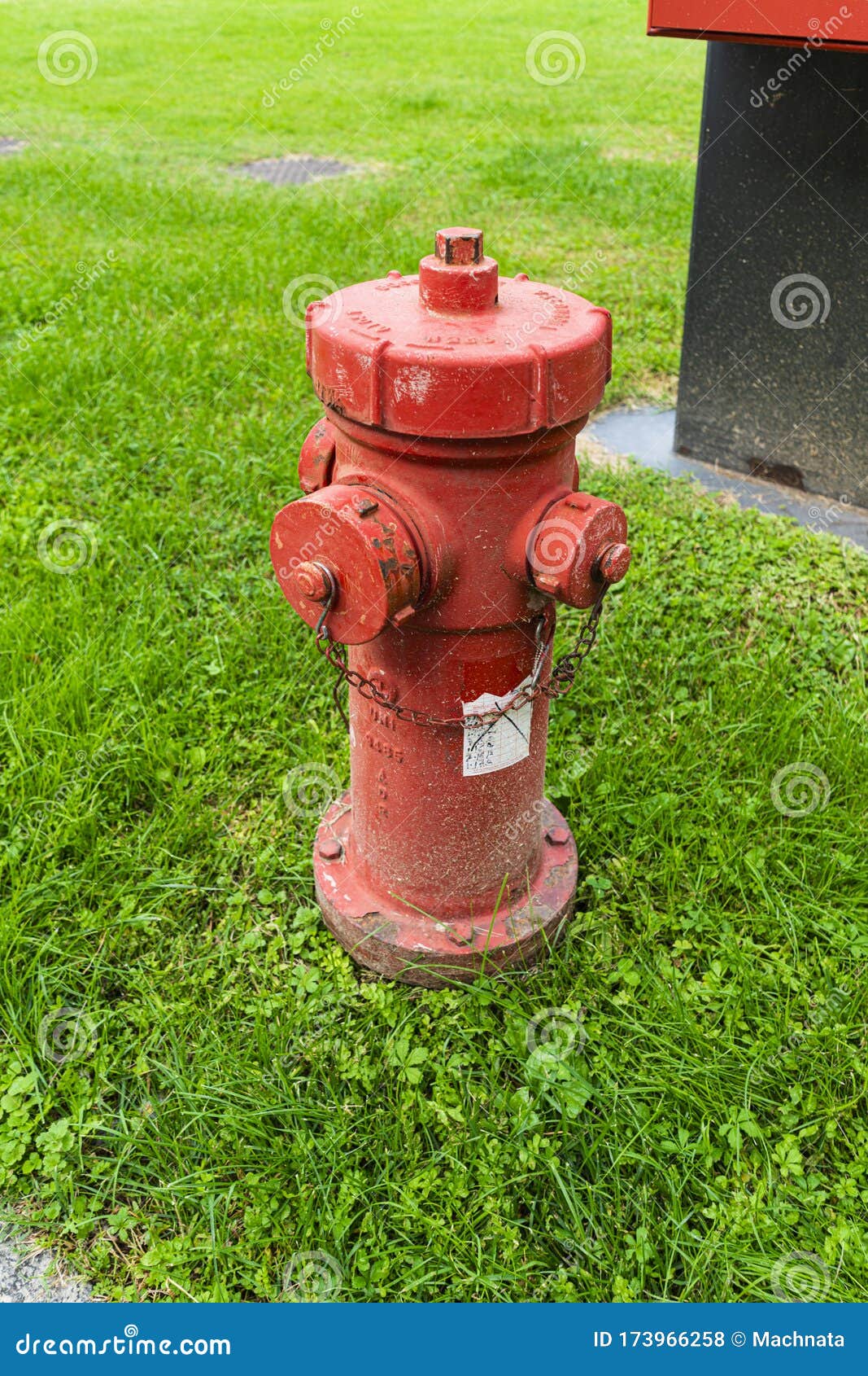 Fire Hydrant in the Green Grass Stock Photo - Image of device, help ...