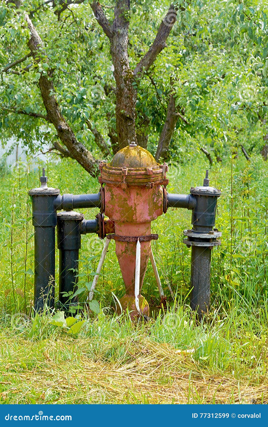 Fire Hydrant. Hydrant Close Up. Hydrant Closeup. Single Fire Hydrant ...
