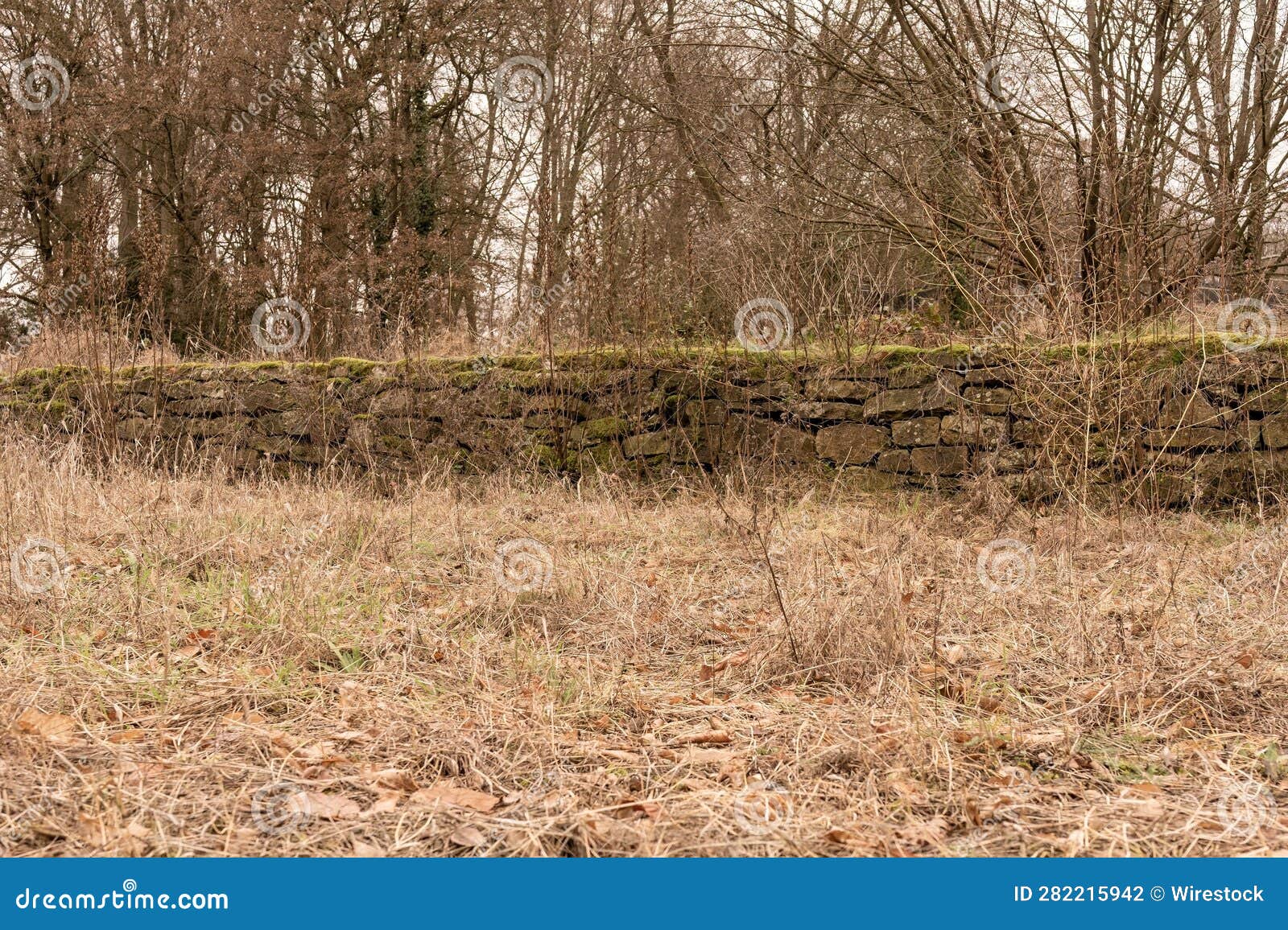 A Fire Hydrant in the Middle of an Empty Field Stock Photo - Image of ...