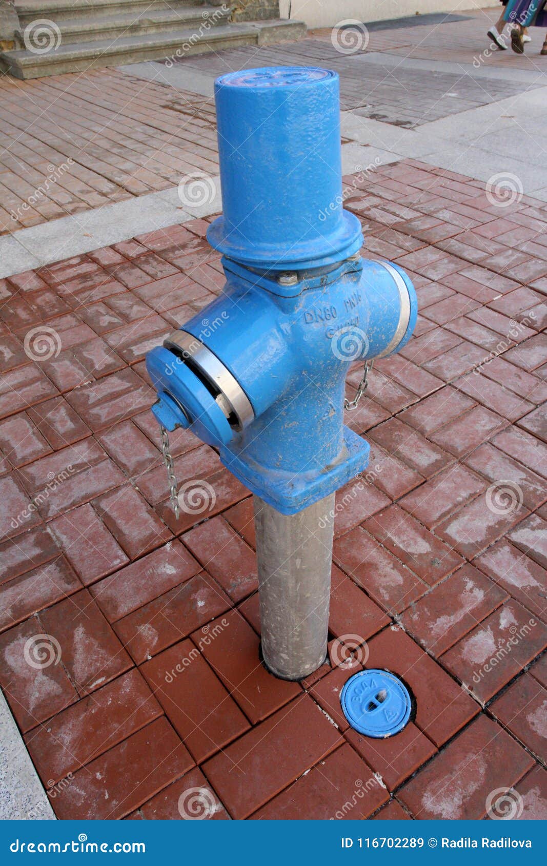 Fire Hydrant. New Blue Fire Hydrant in the Street. Fire Hydrant for ...