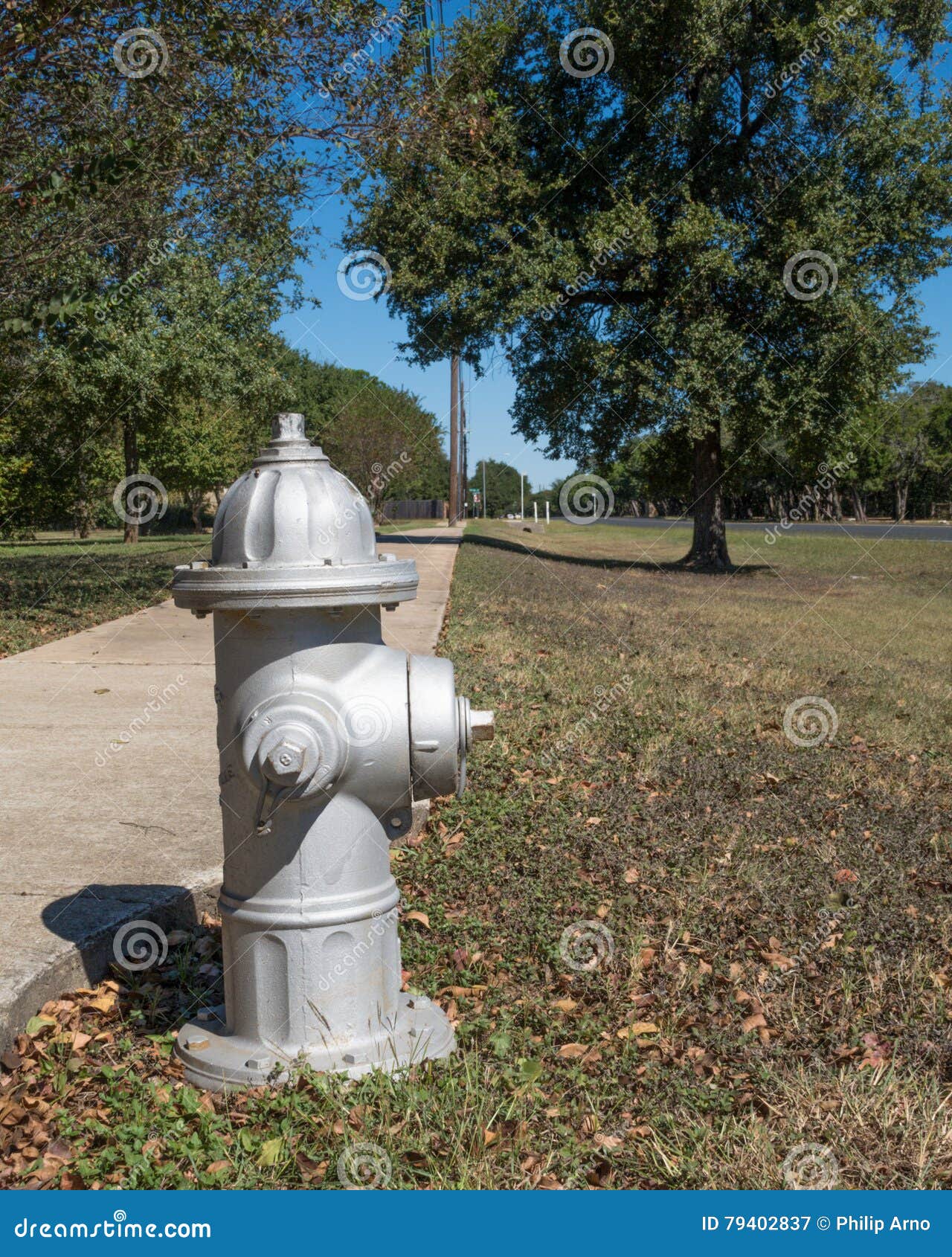 Fire Hydrant Painted Silver Stock Image - Image of vintage, american ...