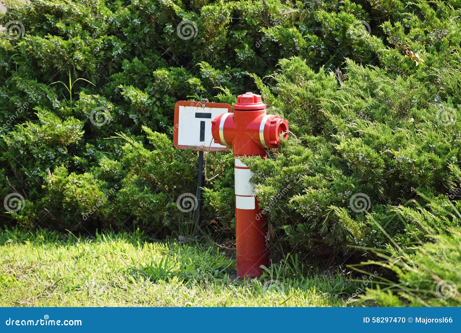 Fire hydrant in the park stock photo. Image of emergency - 58297470
