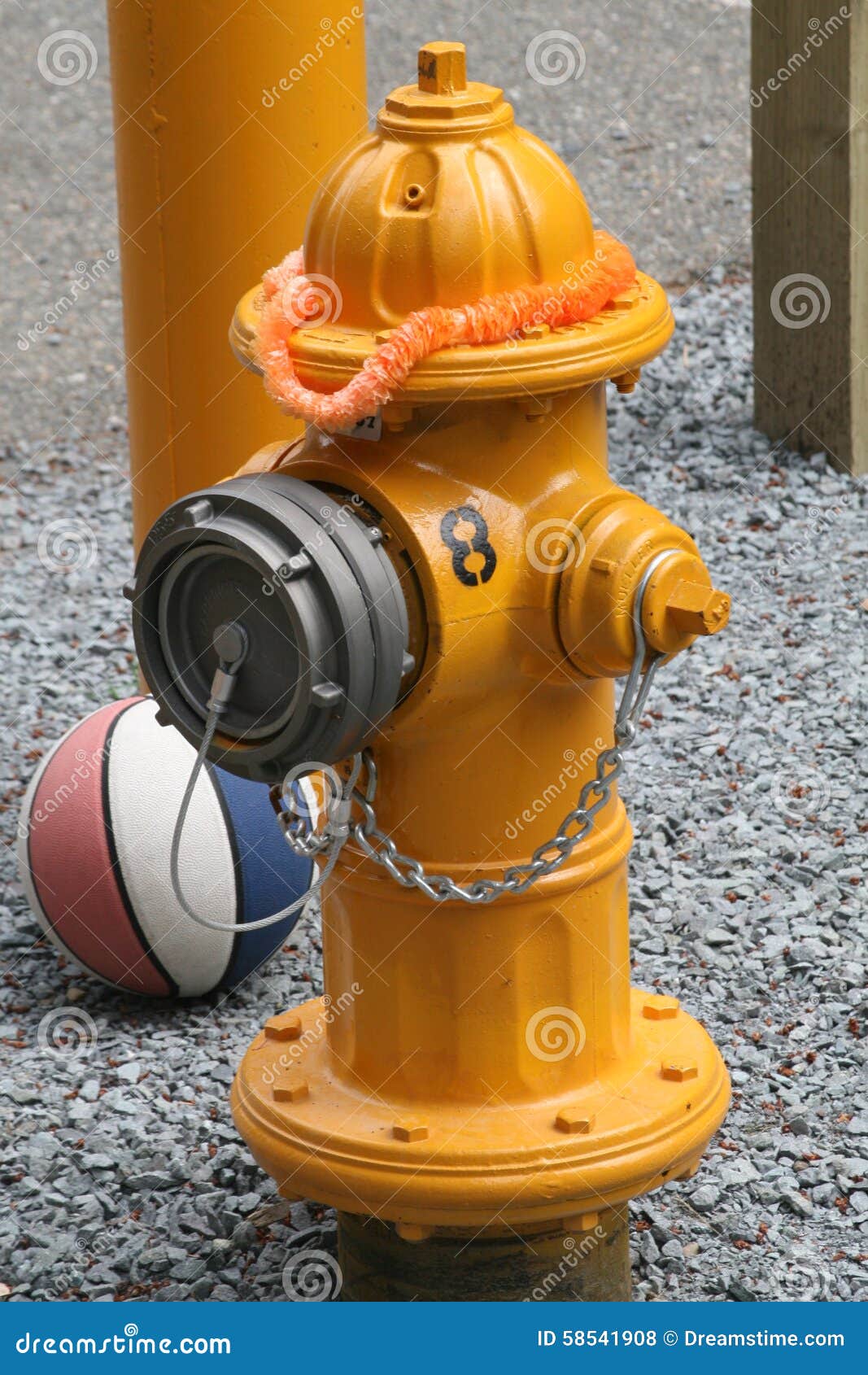 Fire Hydrant Party stock photo. Image of game, basketball - 58541908