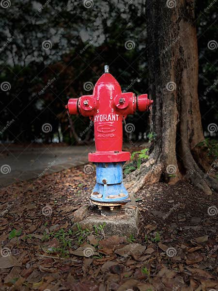 Fire Hydrant Pillar in the Forest Stock Image - Image of tree, hydrant ...