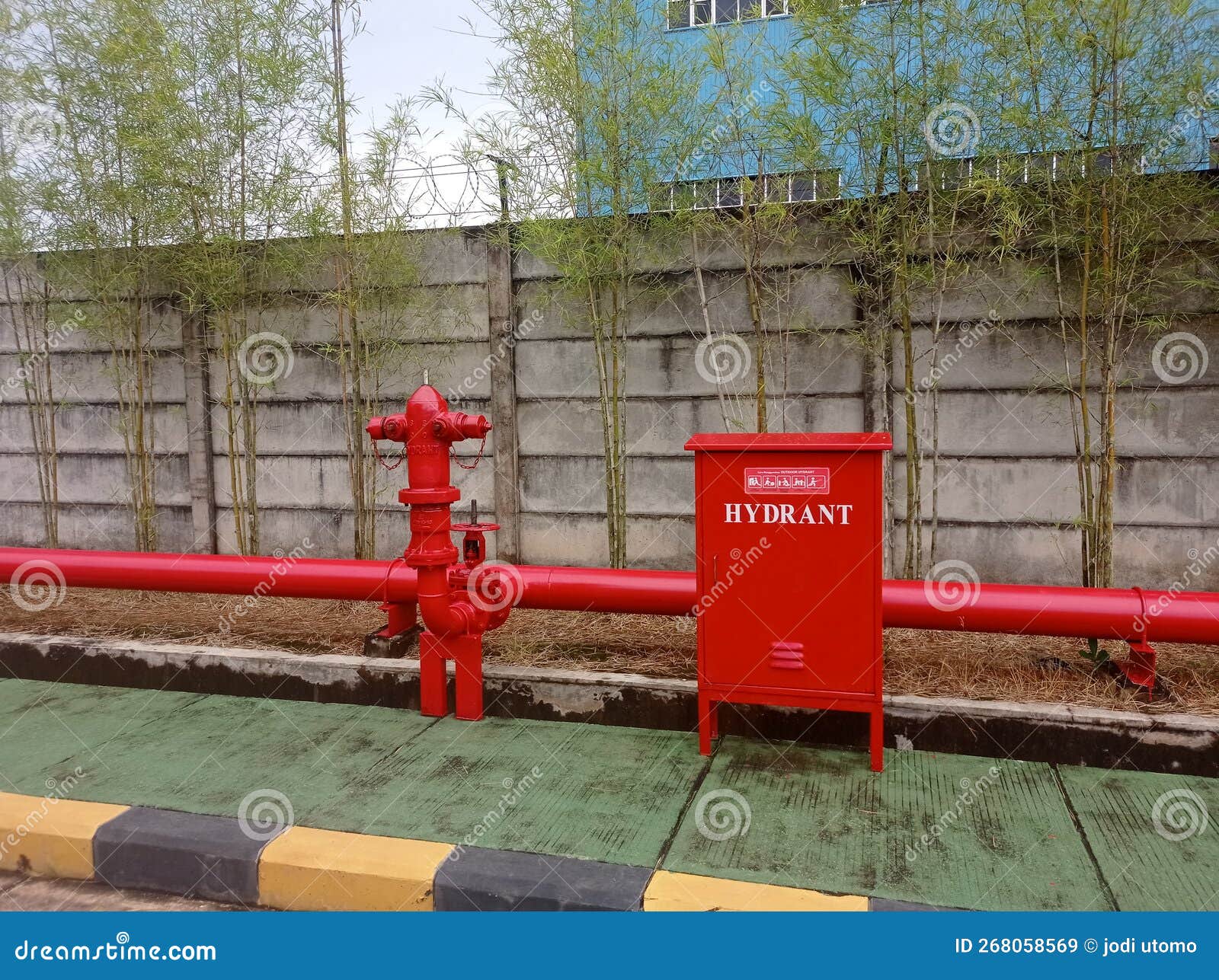 Fire Hydrant Pillar and Fire Kit Box Stock Image - Image of tree, yard ...