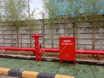 Fire Hydrant Pillar and Fire Kit Box Stock Image - Image of tree, yard ...