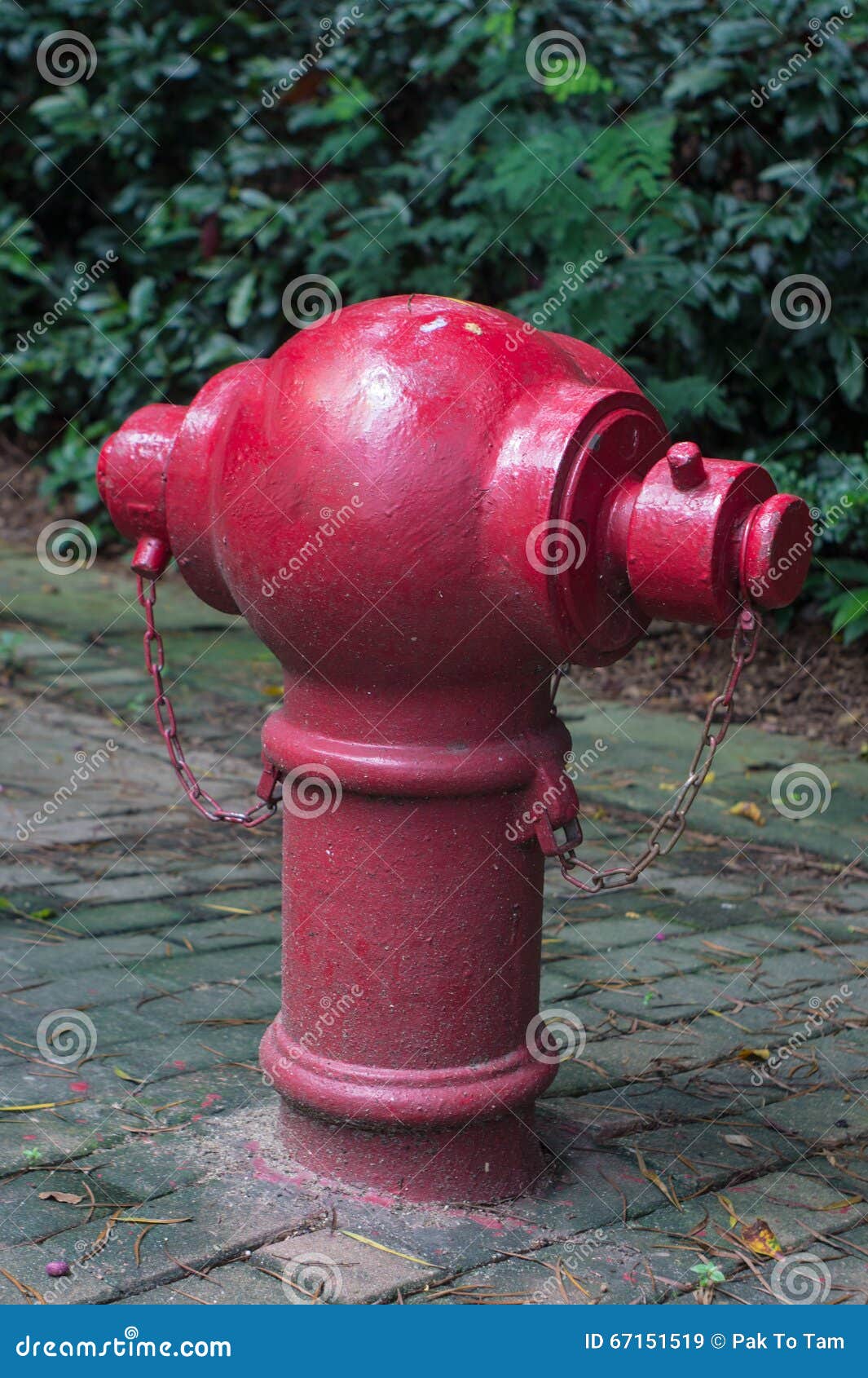 Fire hydrant stock image. Image of prevention, public - 67151519