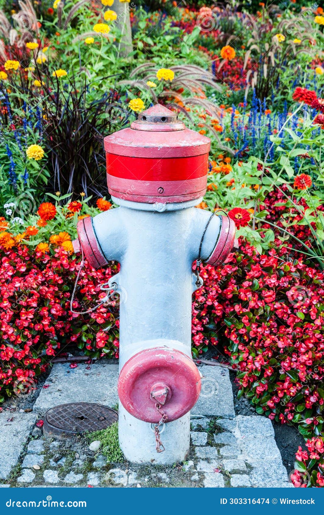 A Fire Hydrant with a Red Cap is Surrounded by Colorful Flowers Stock ...