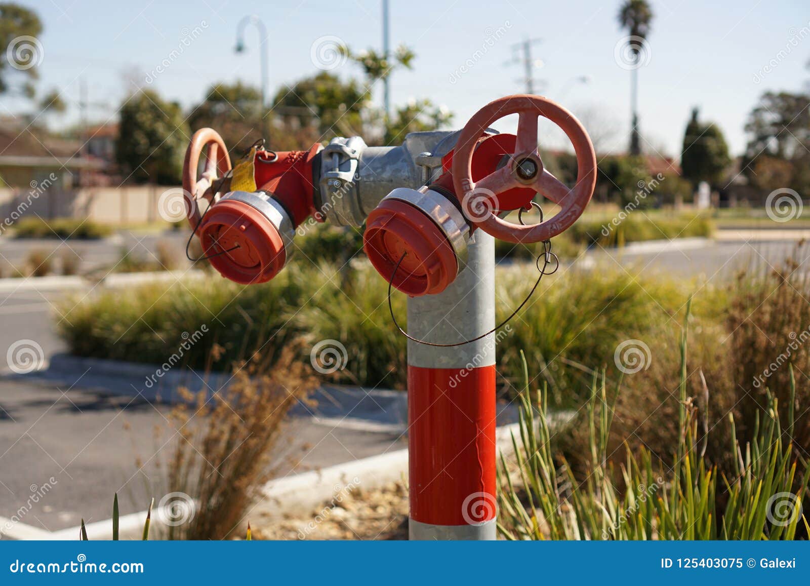 Fire Hydrant In Red And Grey Colour Editorial Photo | CartoonDealer.com ...
