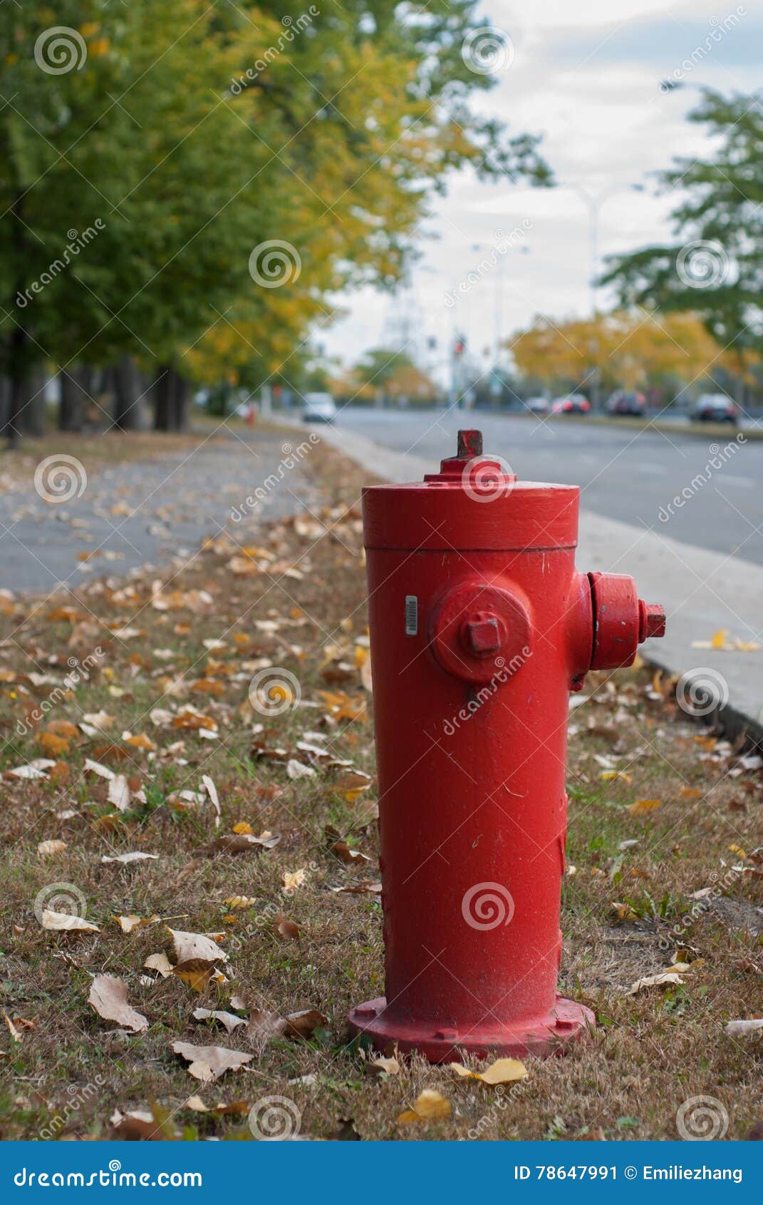 Fire hydrant stock image. Image of tree, extinguisher - 78647991