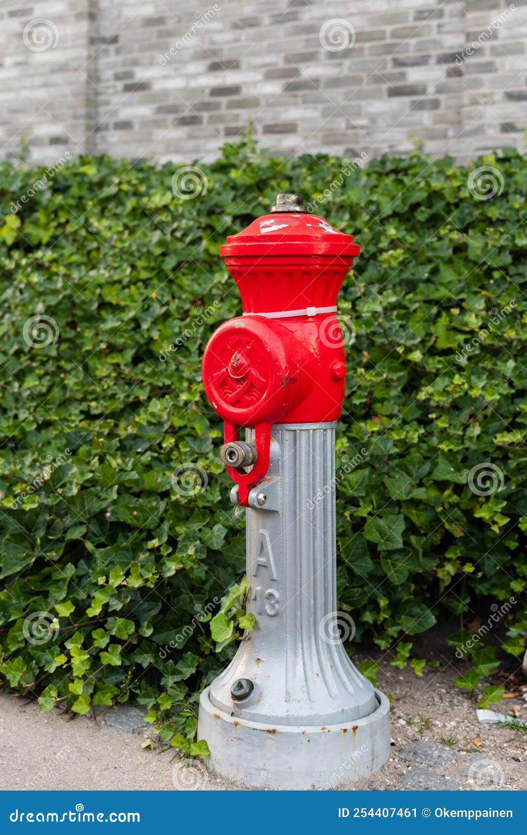 Fire Hydrant on the Side of the Road with Green Bushes in the ...