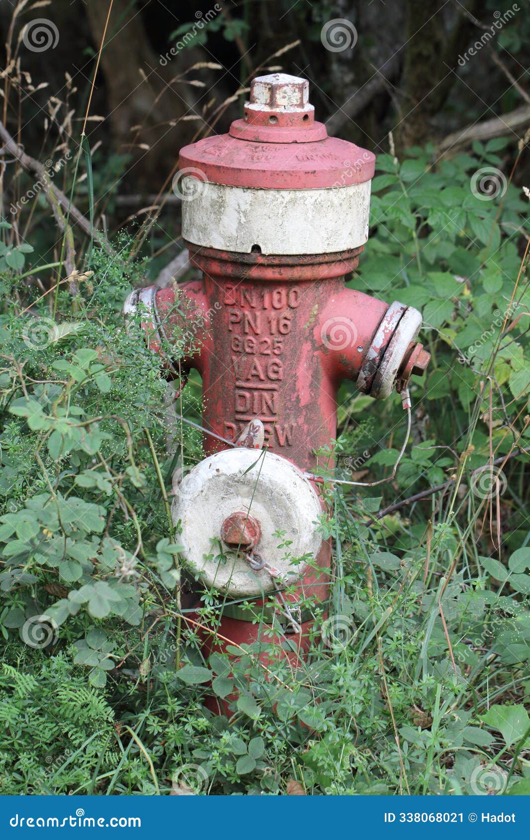 Fire Hydrant stock image. Image of fire, hidden, white - 338068021