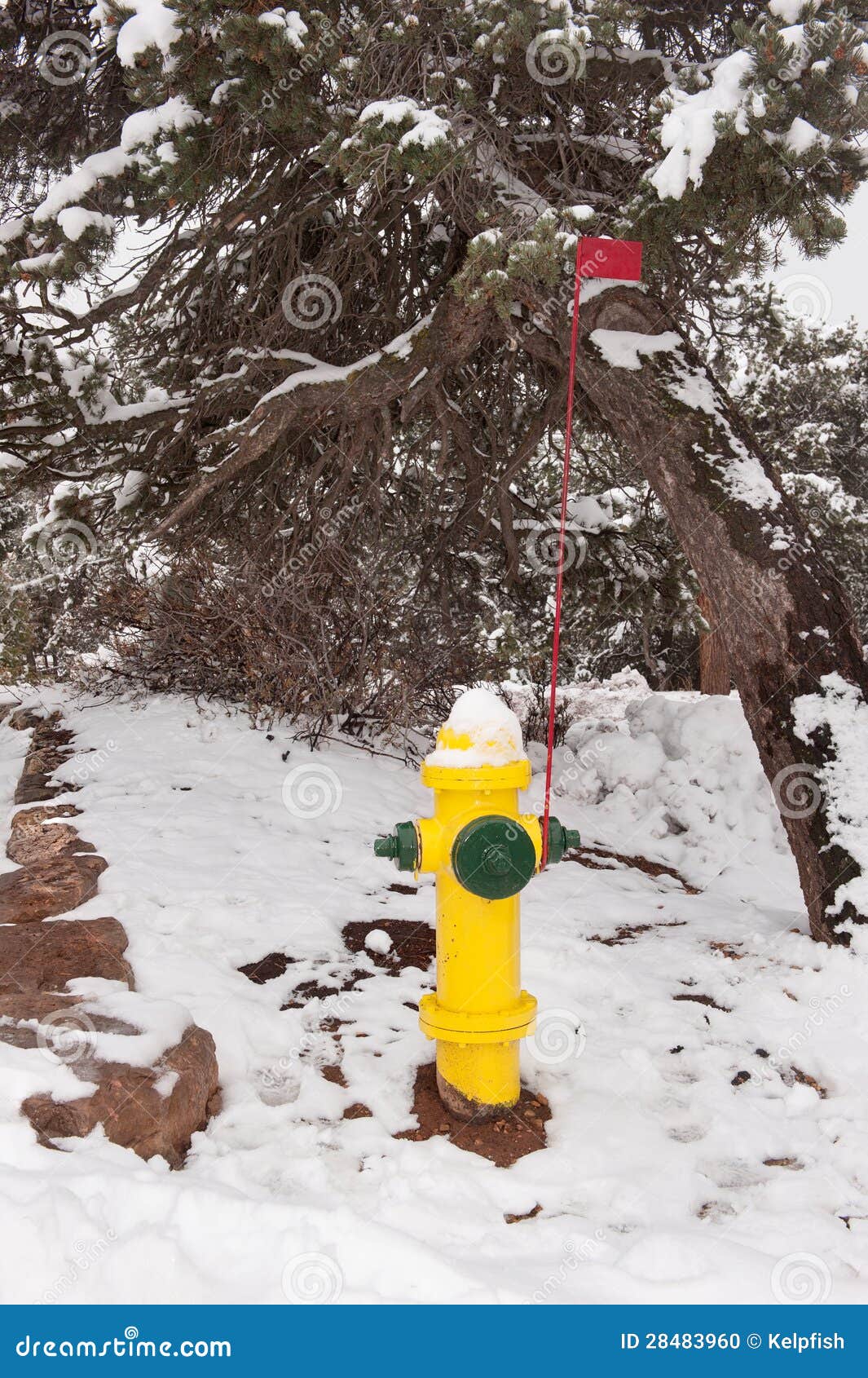 Fire hydrant in snow stock photo. Image of identification - 28483960