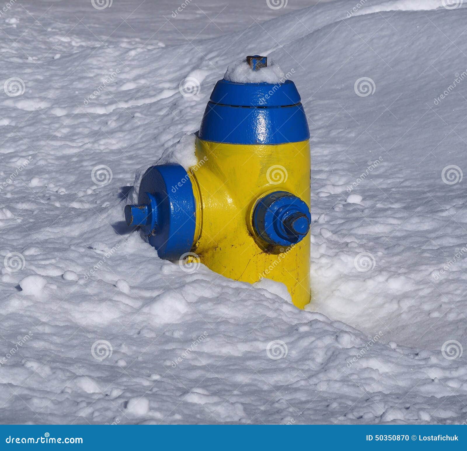 Fire Hydrant in Snow stock photo. Image of snow, park - 50350870