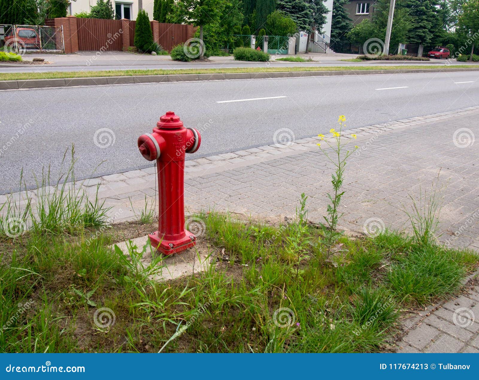 The fire hydrant stock image. Image of city, green, spring - 117674213