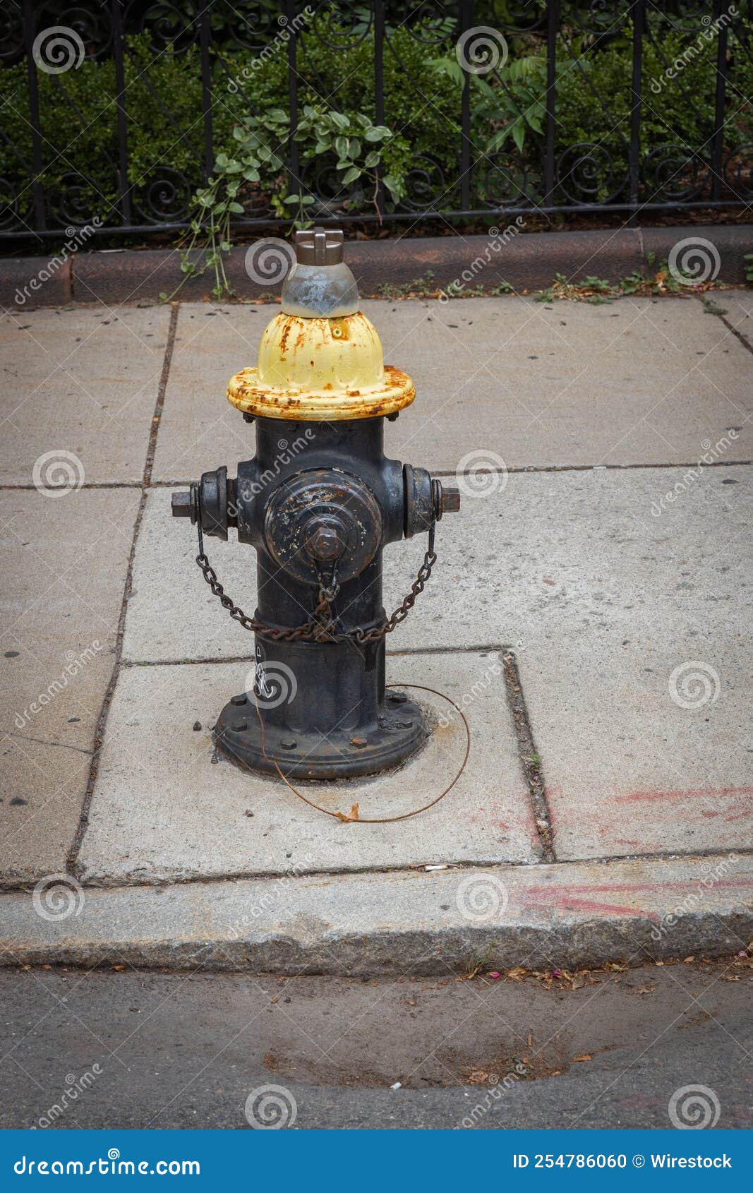 Fire Hydrant on the Street in Boston Stock Photo - Image of fire, plug ...