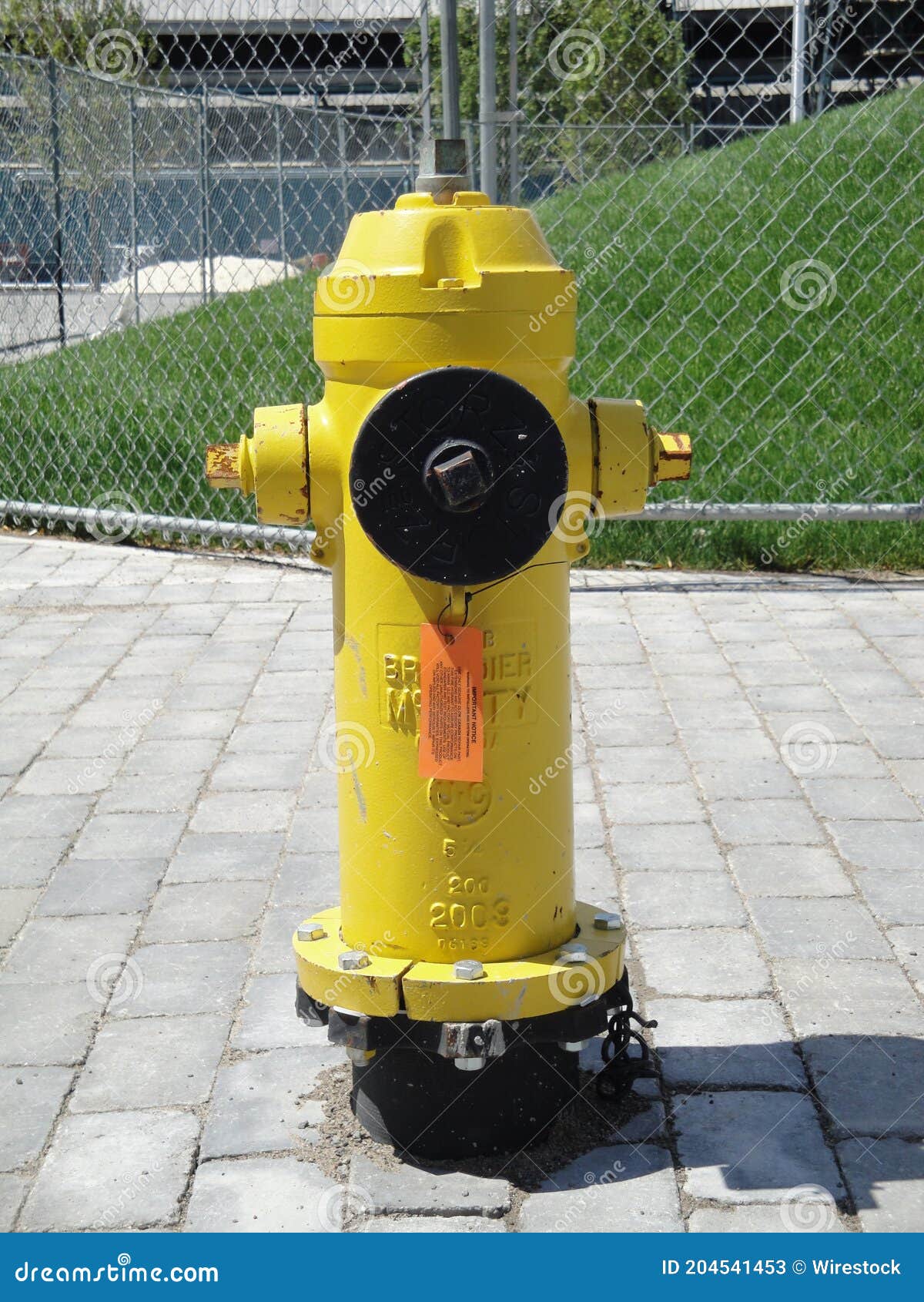 Fire Hydrant in Toronto, Canada Stock Image - Image of incendie ...