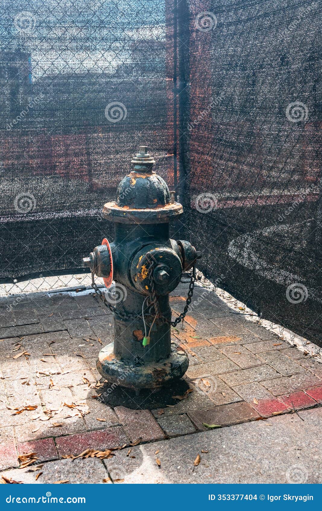 Fire Hydrant in an Urban Space. Paved Sidewalk Along Residential ...