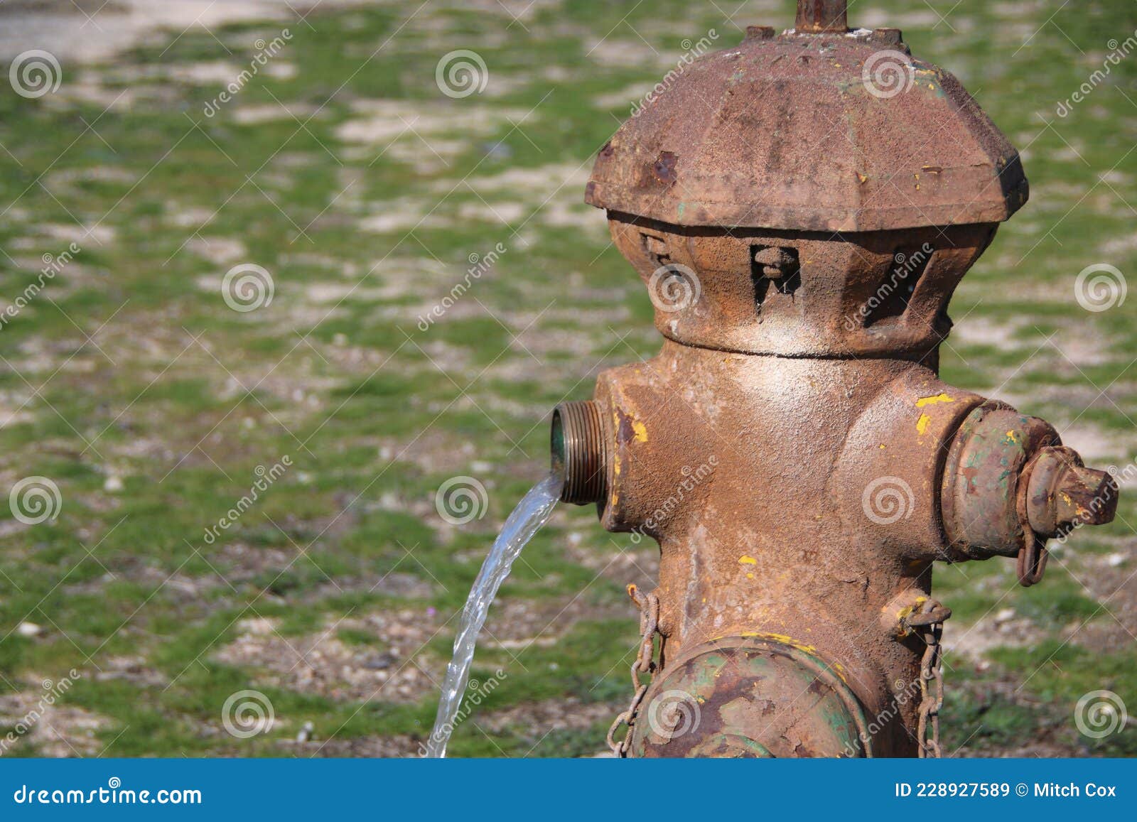 Hydrant With Flowing Water Stock Photo | CartoonDealer.com #114611760