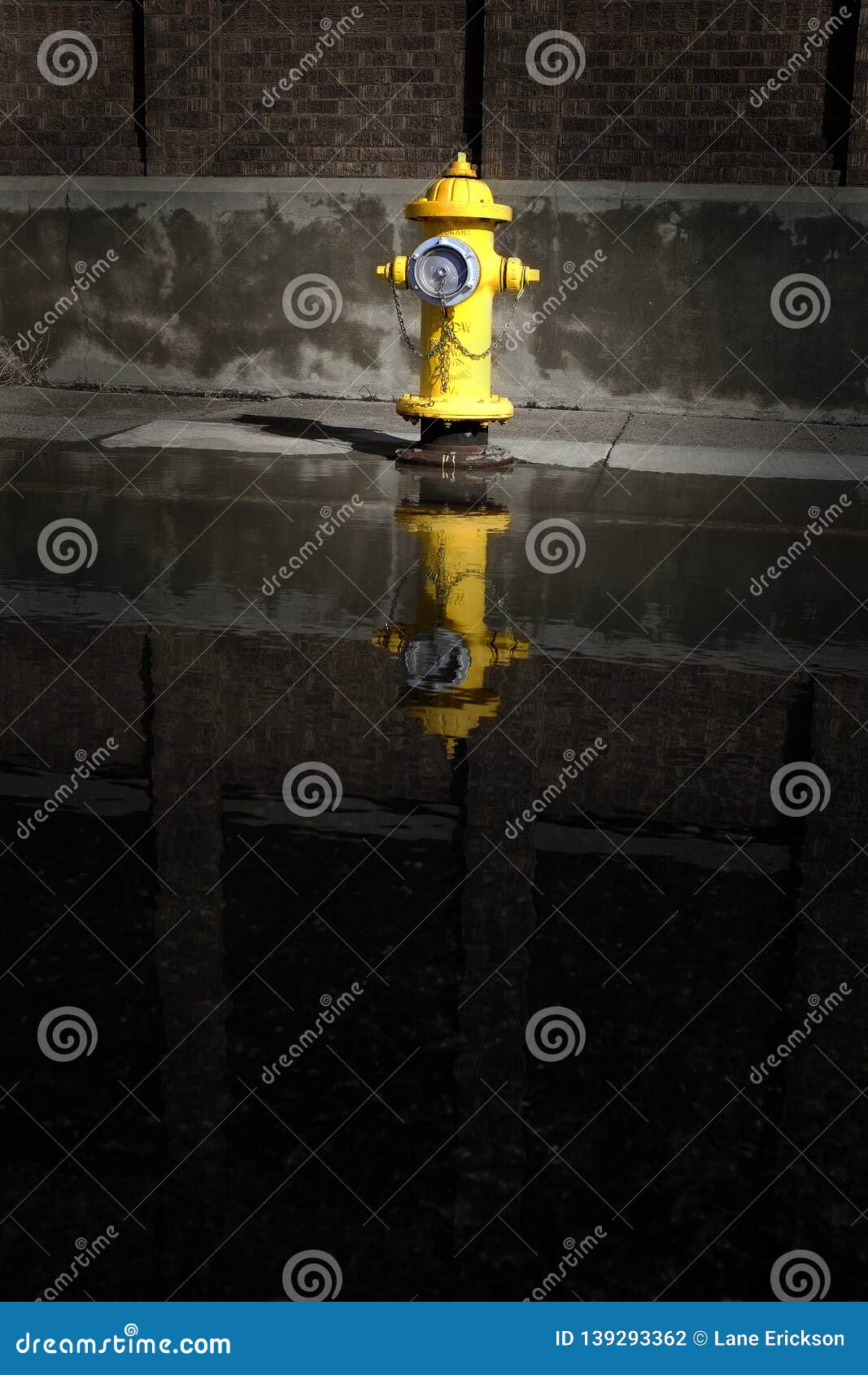Fire Hydrant with Water Puddle Reflection and Building Urban Setting ...