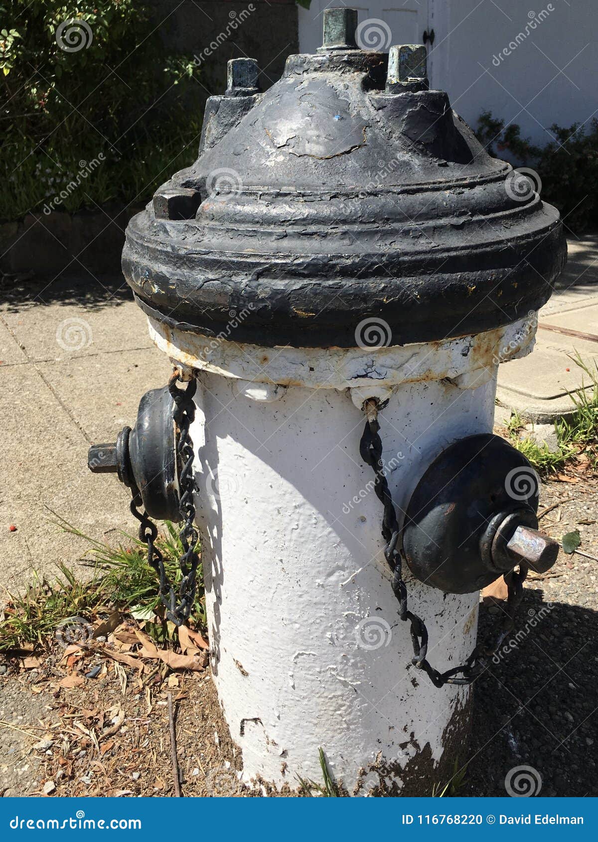 A Fire Hydrant Wearing a Black Hat and Matching Black Gloves. Stock ...