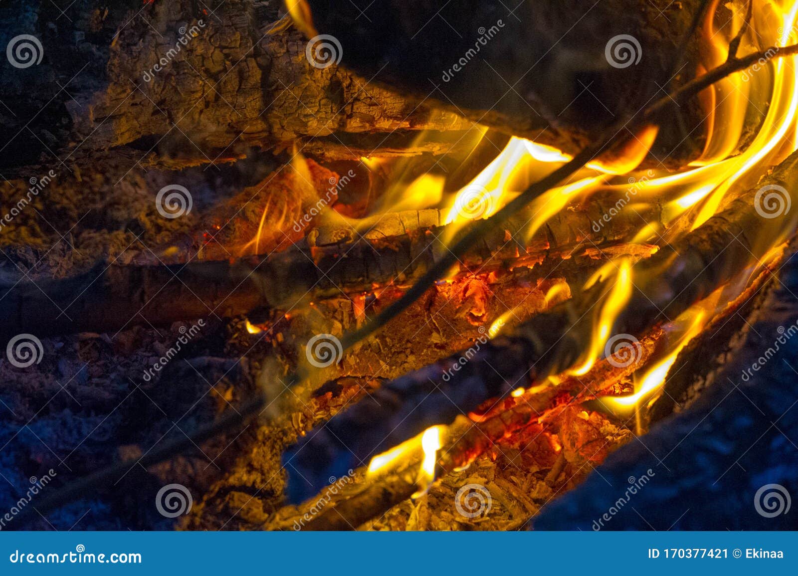 Fire in Its Most Common Form Can Lead To a Fire that Can Cause Physical ...