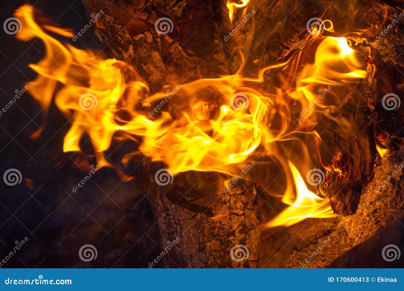 Fire in Its Most Common Form Can Lead To a Fire that Can Cause Physical ...