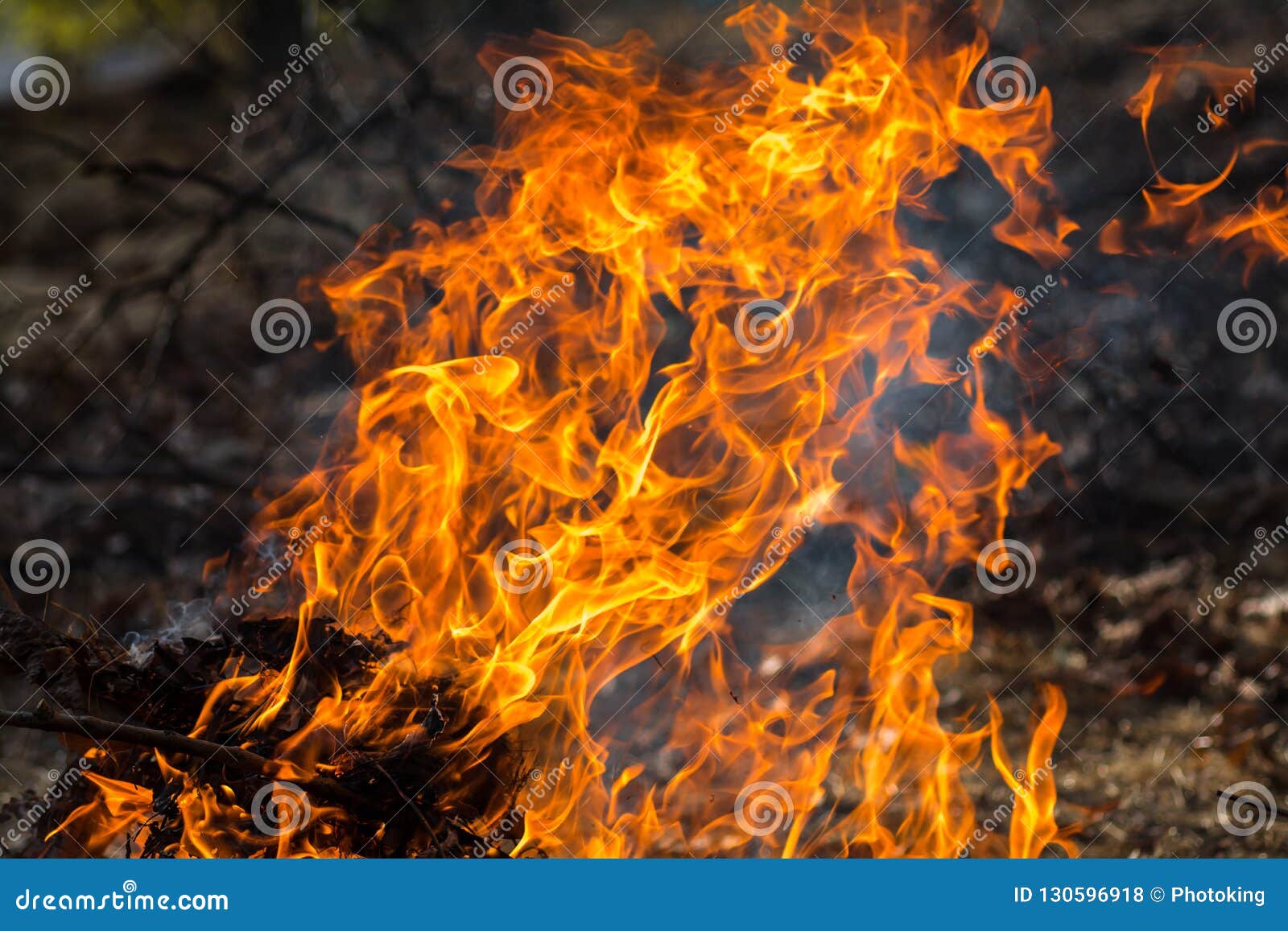 Fire in jungle stock photo. Image of camp, fire, black - 130596918