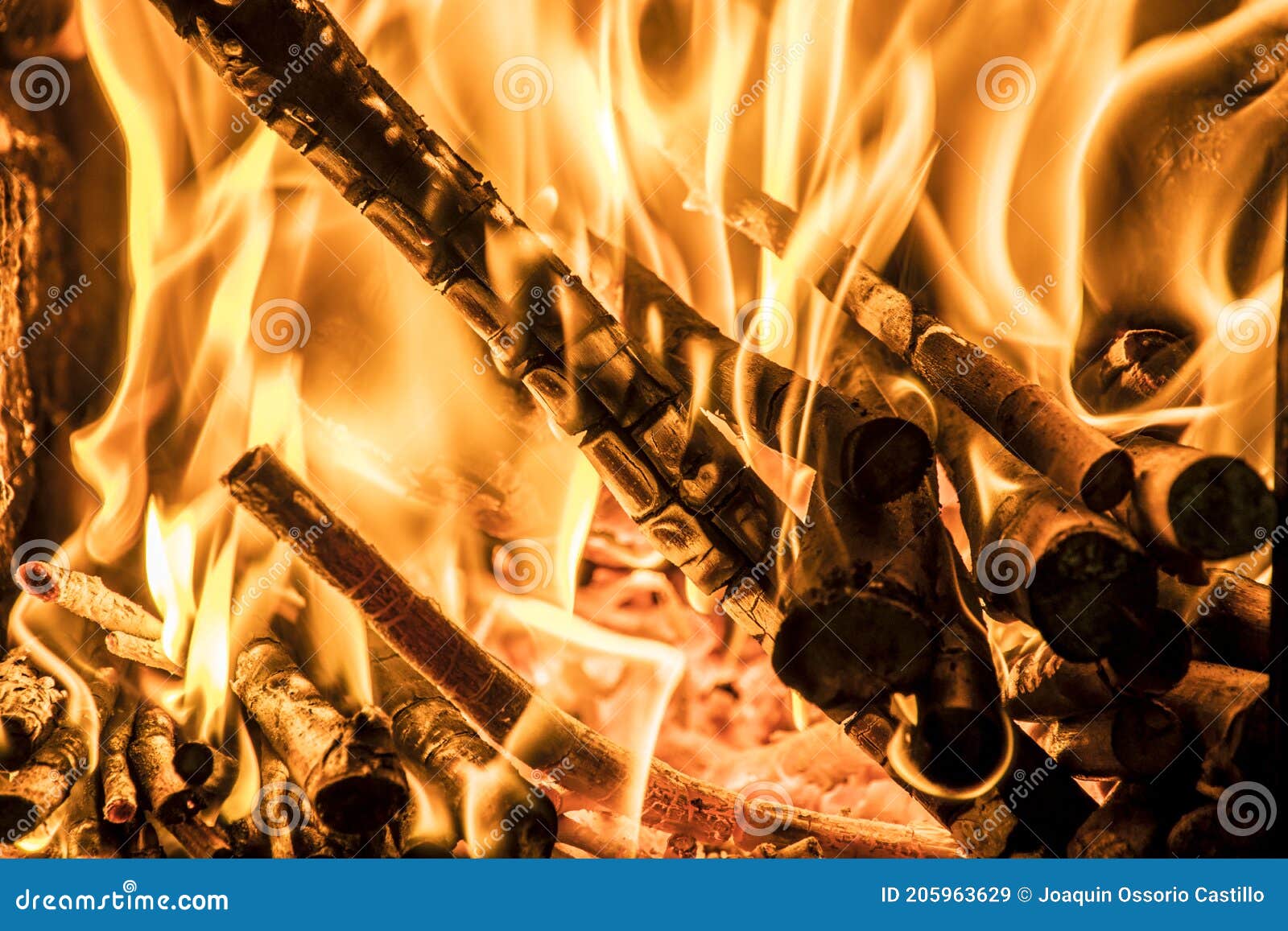 Fire in a stove stock image. Image of burn, flammable - 205963629
