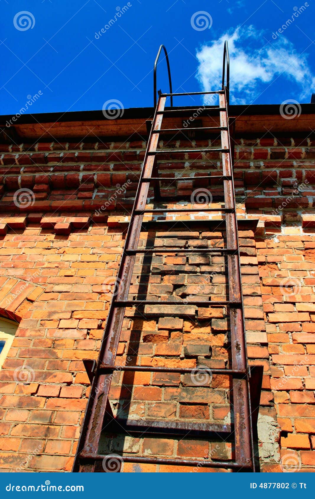 Fire ladder stock photo. Image of industry, construction - 4877802