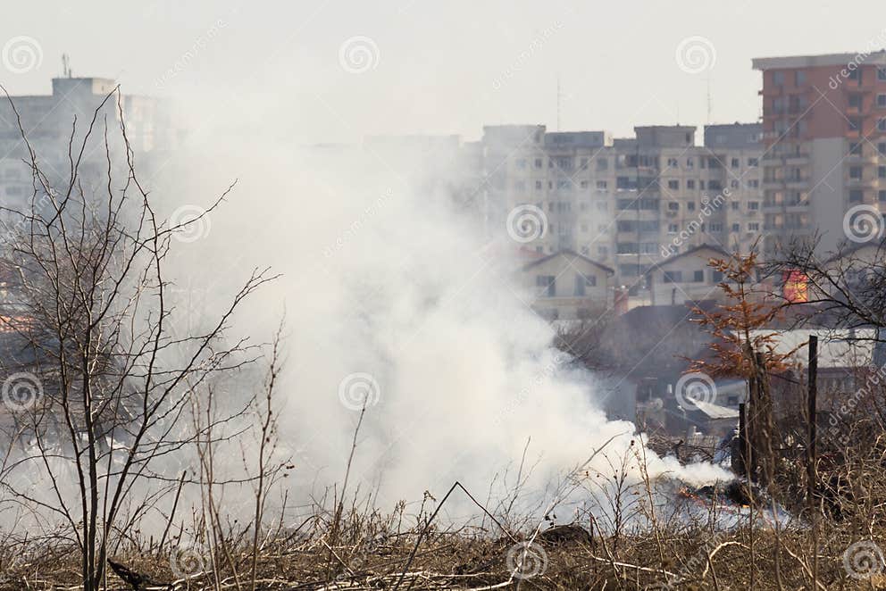 Fire on land stock image. Image of dangerous, destruction - 31052085