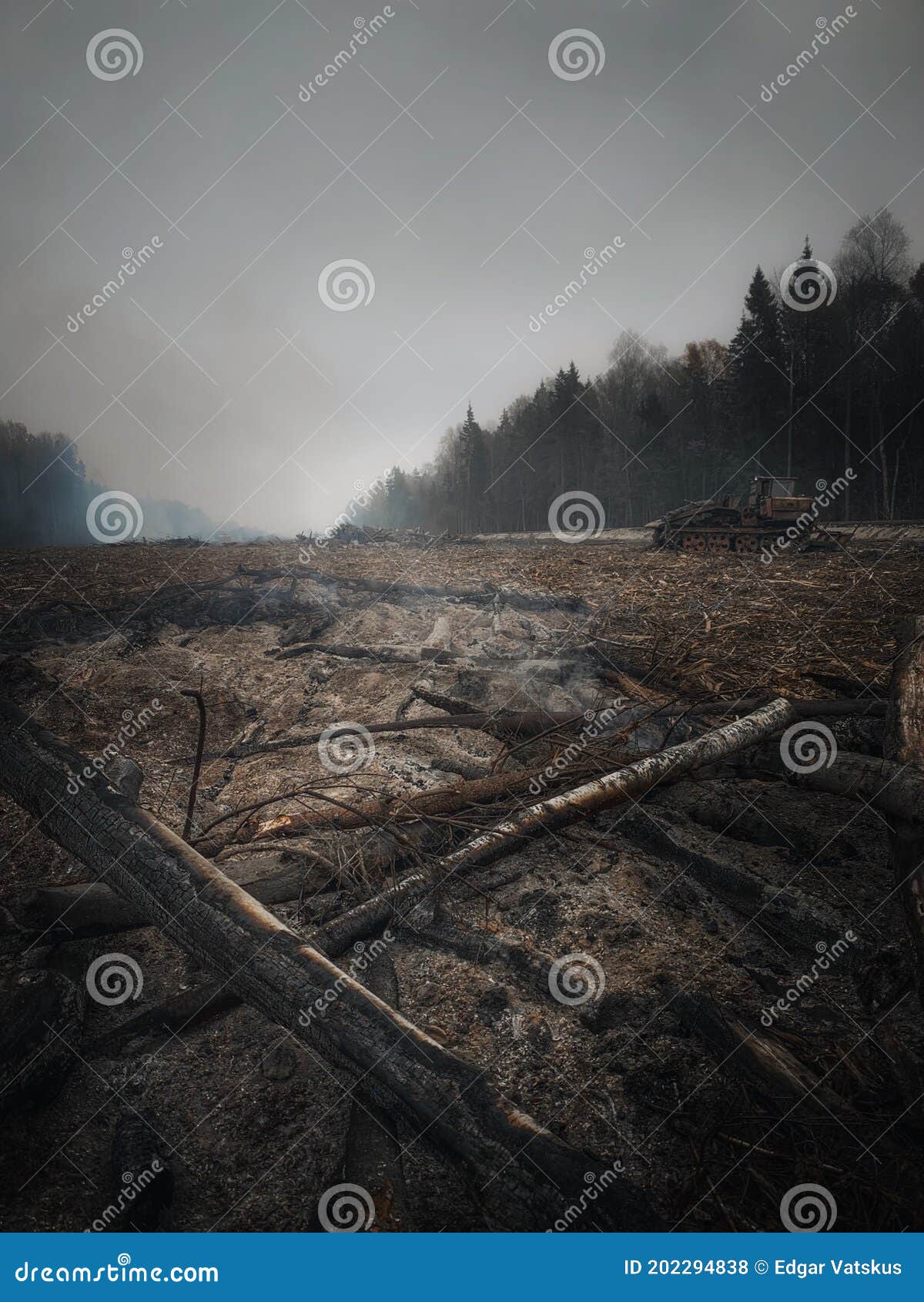 Fire land stock photo. Image of wood, land, shot, fire - 202294838