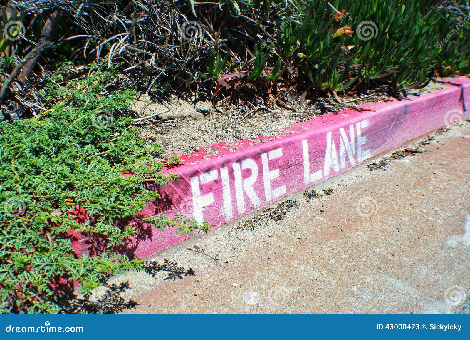 Fire lane stock image. Image of parking, driving, written - 43000423
