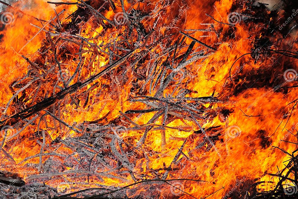 Fire from Large Heap of Burning Wood Stock Photo - Image of natural ...
