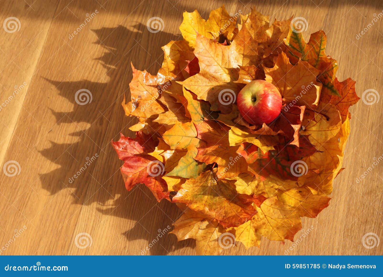 Fire leaves stock image. Image of leaves, bottom, base - 59851785
