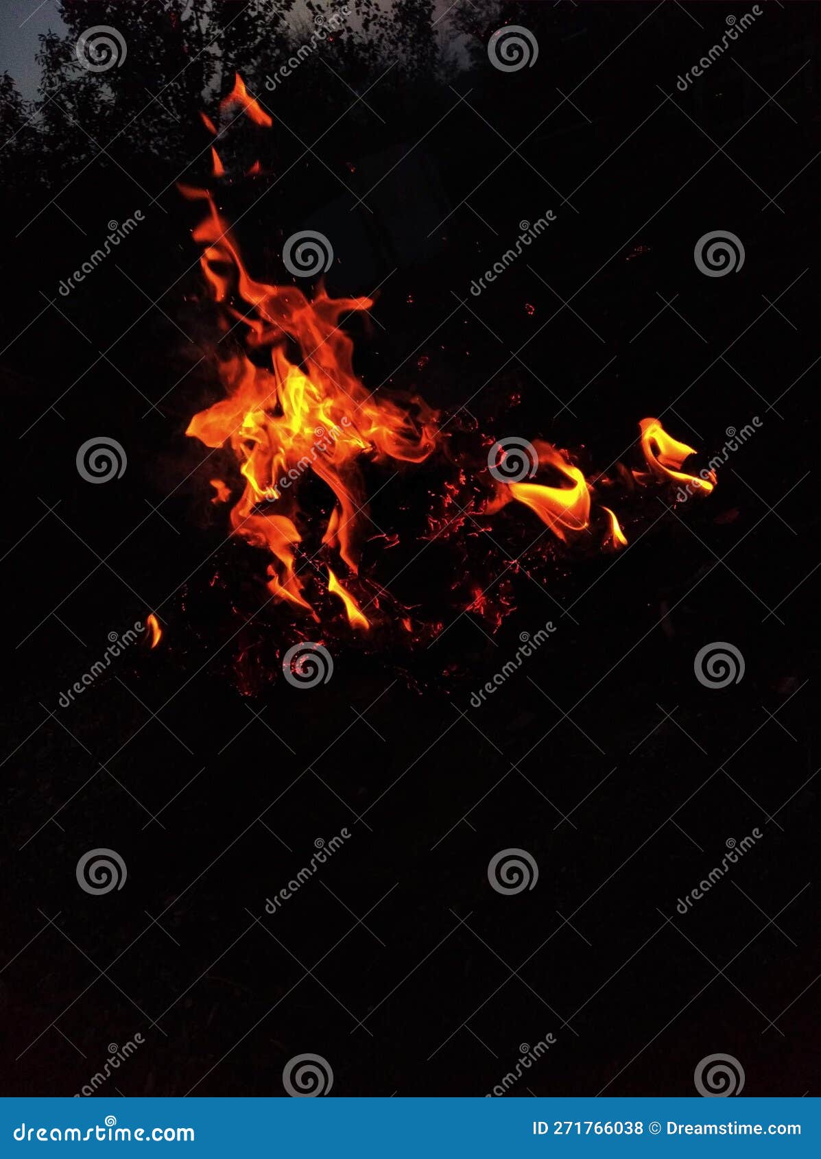 Fire life very stock photo. Image of orange, fire, life - 271766038