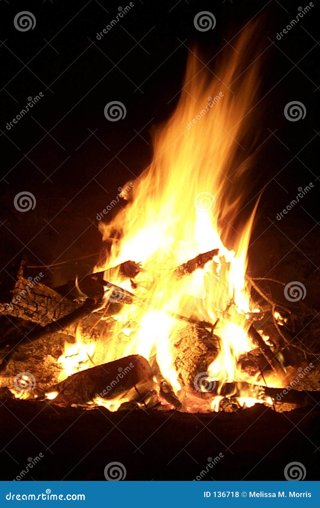 Fire Light stock photo. Image of trees, heat, cracked, trwigs - 136718