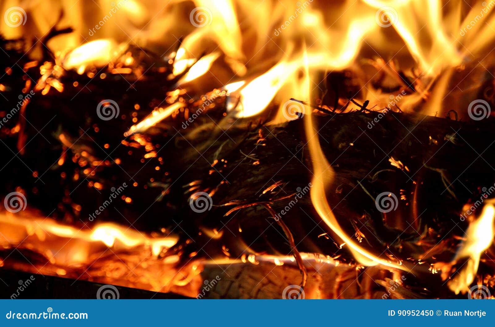 Fire light stock photo. Image of nature, wood, forest - 90952450