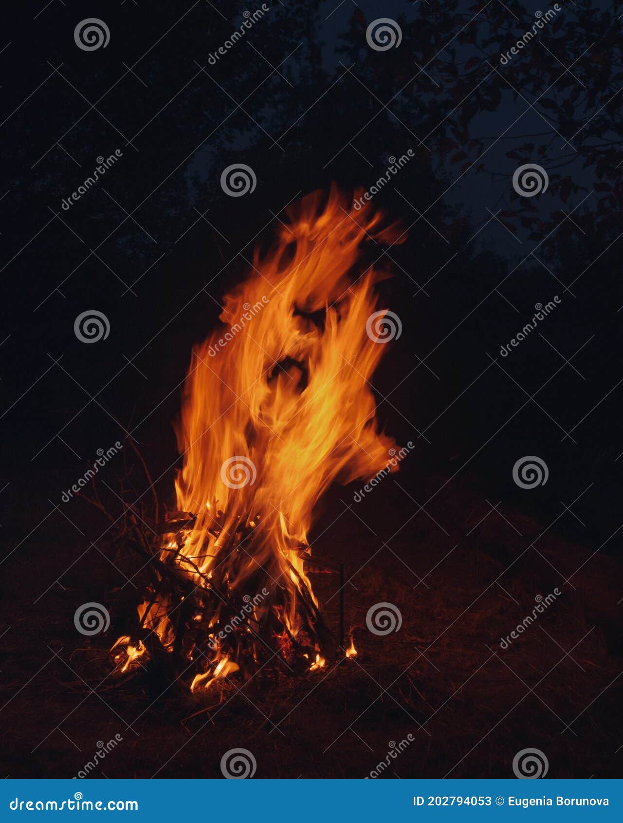 Fire Like a Ghost, Dynamic, Bonfire, Flames, Bright Orange Fire Stock ...