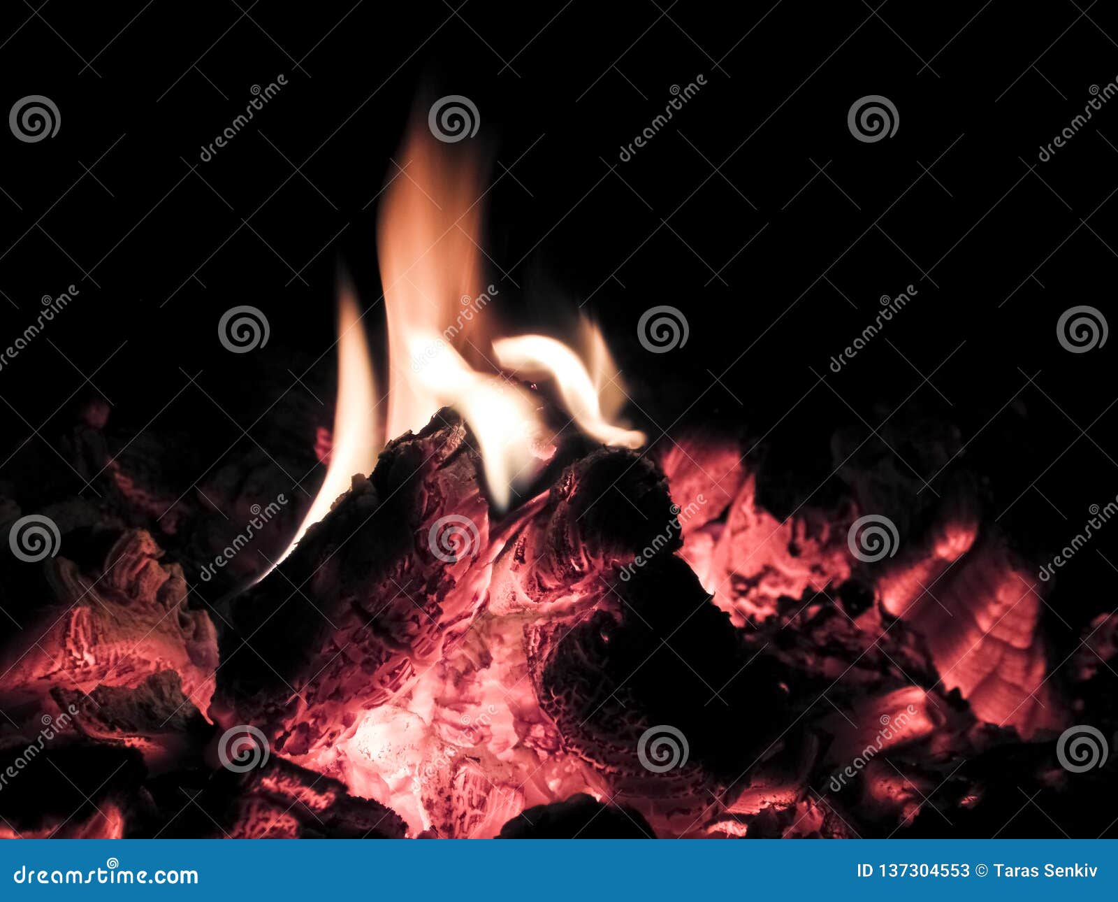 Fire a little bonfire stock image. Image of bright, outdoors - 137304553