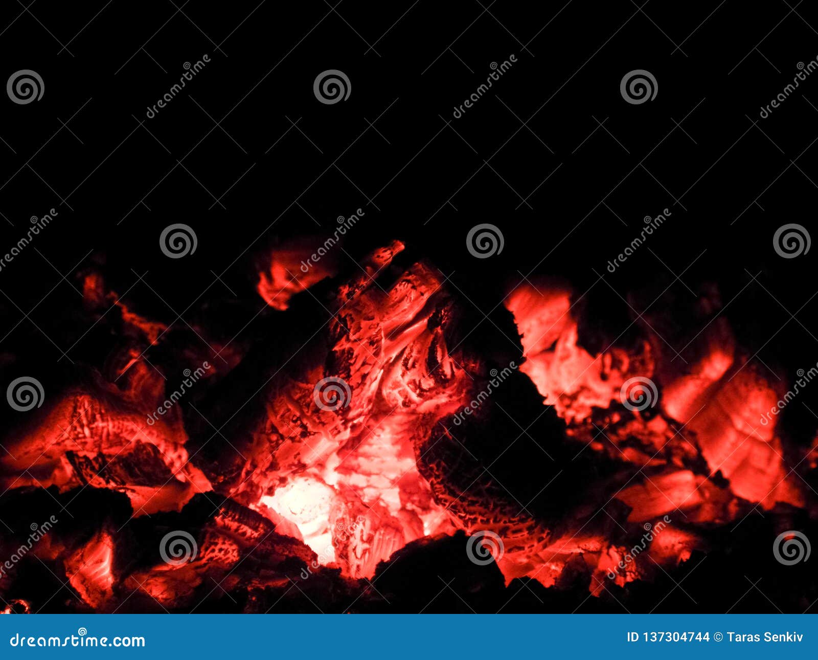 Fire a little bonfire stock photo. Image of child, family - 137304744