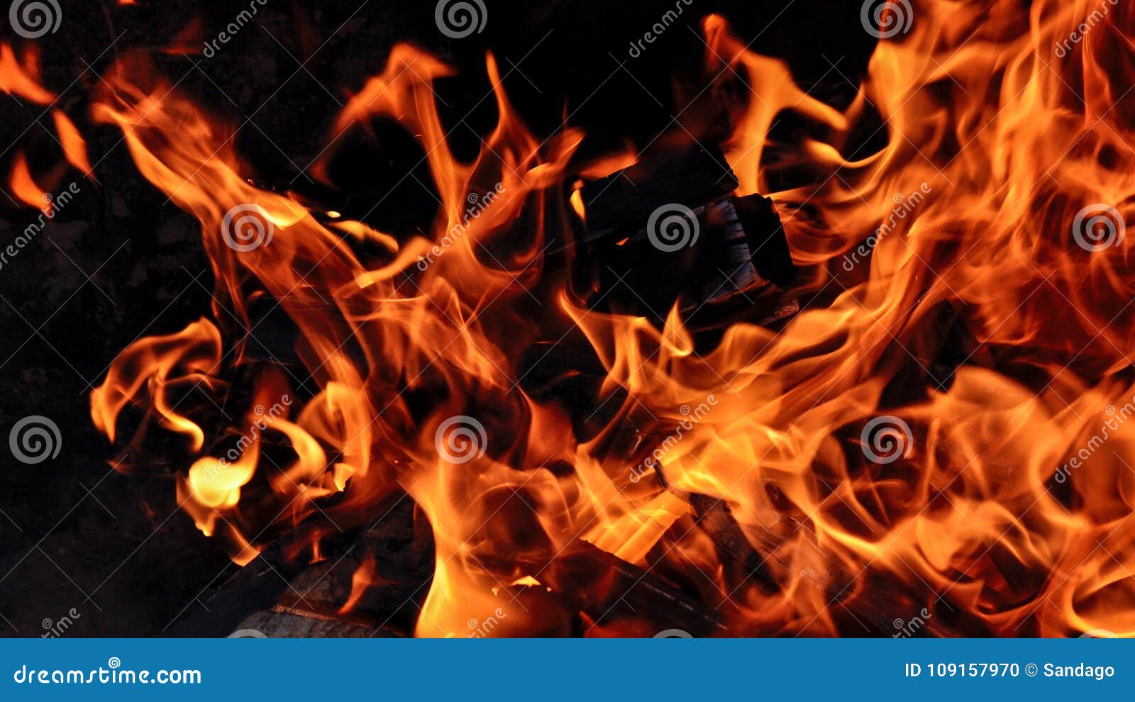 Fire with logs stock photo. Image of close, burning - 109157970