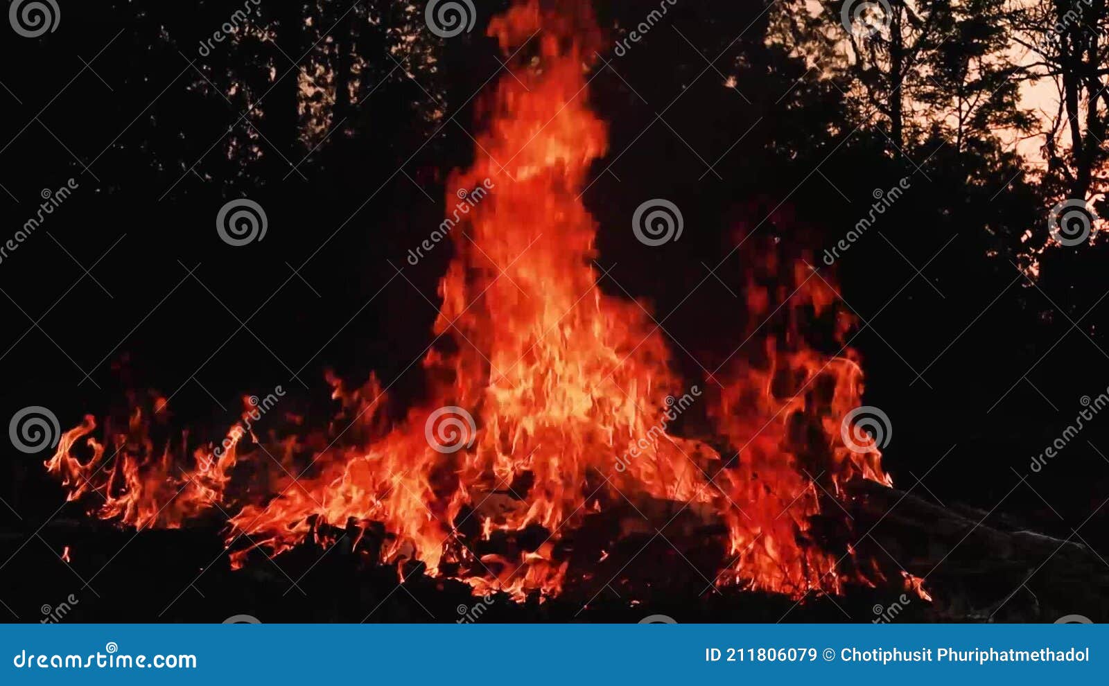 Fire Looping Isolated Seamless Loop. Looping Fire Element, SMotion Fire ...