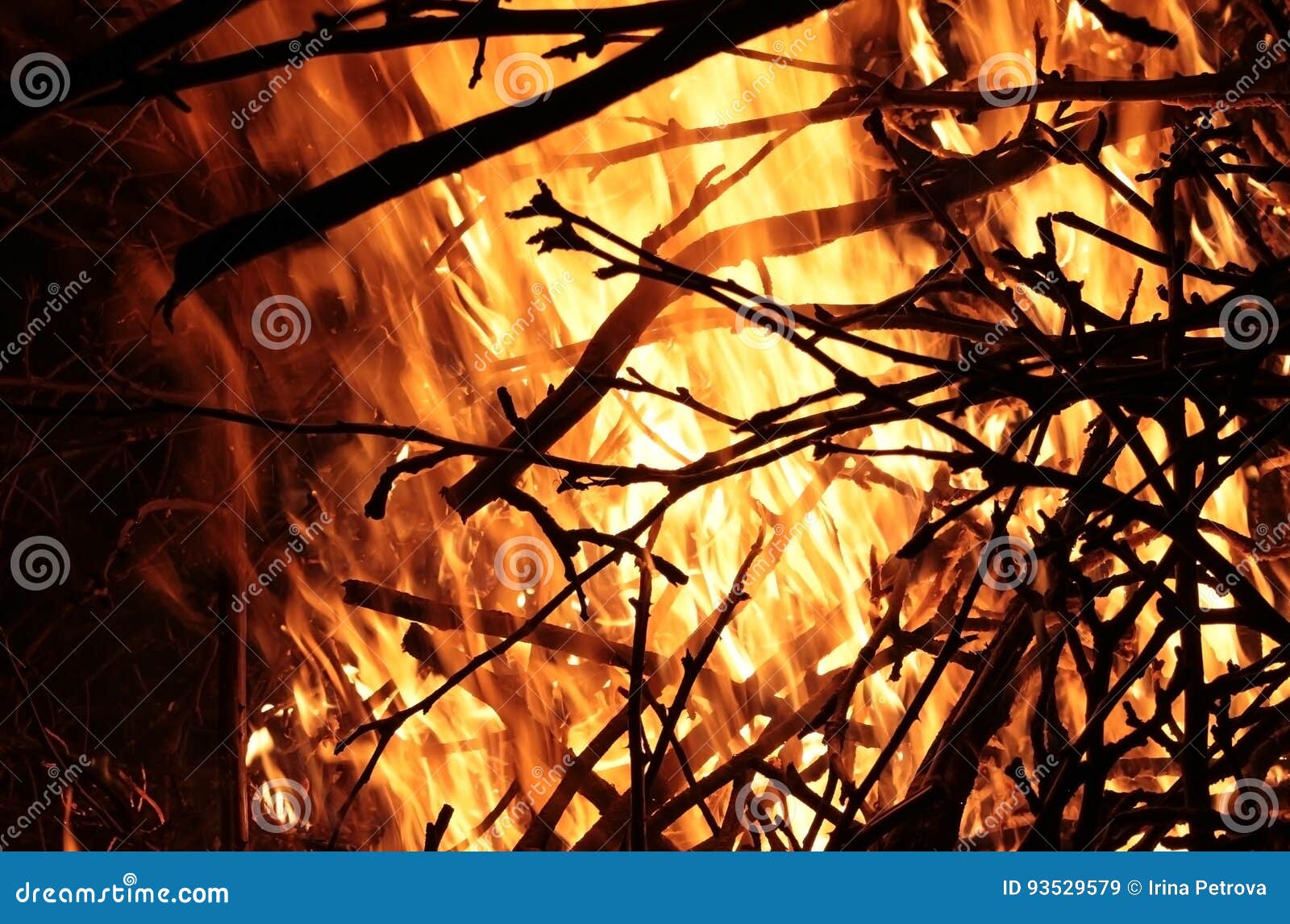 The fire. stock image. Image of bright, campfire, flames - 93529579